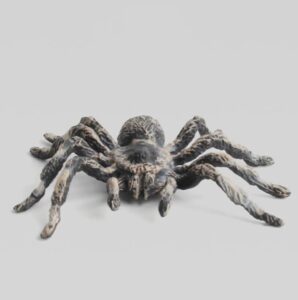 Horrifying Realistic Fake Spiders - Tenebrisque